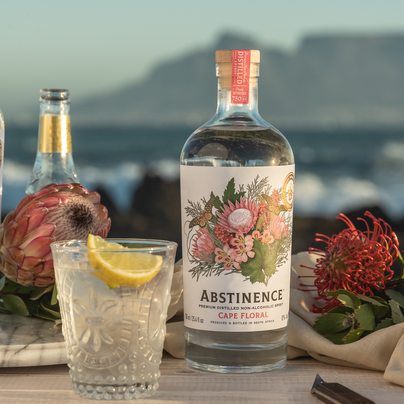 Non-Alcoholic Cocktail and Mocktail Kits – The Dry Goods Beverage Co.